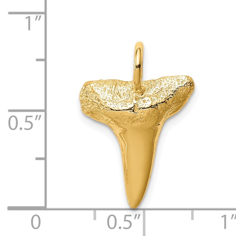 Quality Gold 14K Shark Tooth Pendant C4589 Park Place Jewelers