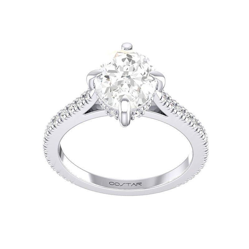 Cathedral Hidden Halo Head With Compass Prongs Engagement Ring R15077 ...